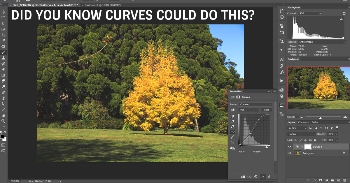 Photoshop Quick Tip Did You Know About This Hidden Curves Featurephoto Mastery Club 